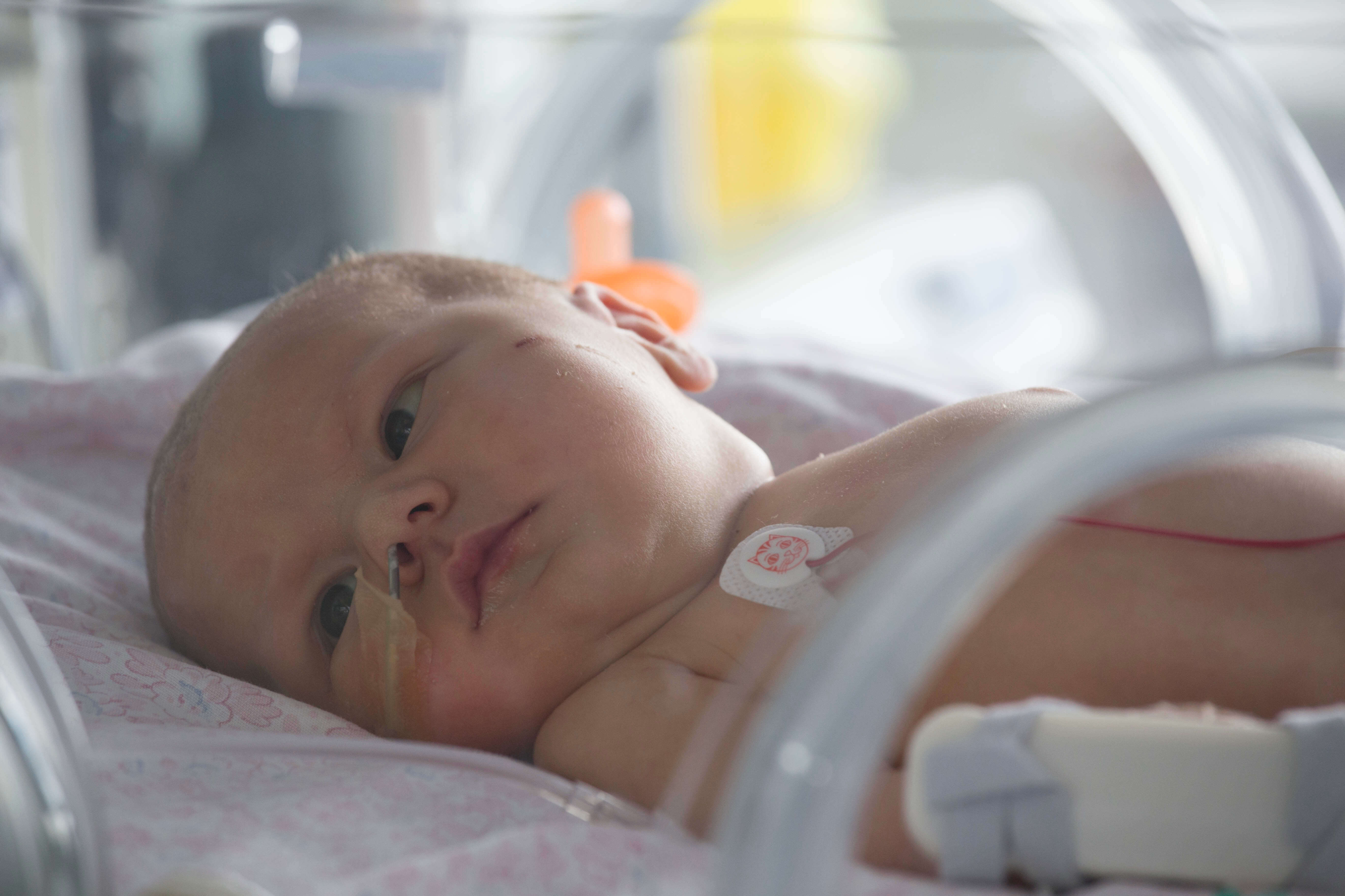 Full Term Infant - Định Nghĩa, Ví Dụ Câu và Cách Sử Dụng Cụm Từ Full ...