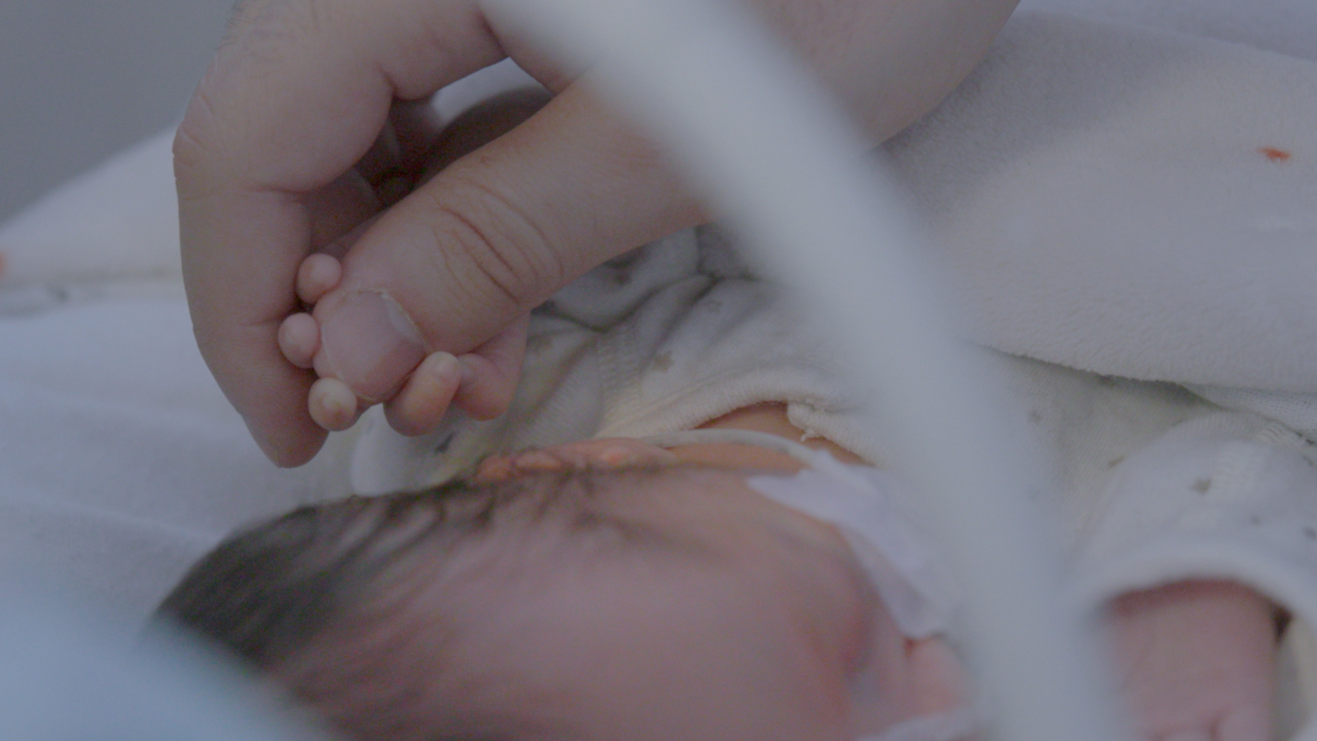 Bliss research into parents’ involvement in neonatal procedures | Bliss